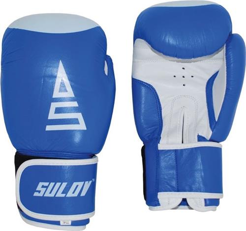 Box rukavice SULOV kožené 8oz., modro-bílé (BOXRUK-KU-8-1) | TSBOHEMIA.CZ